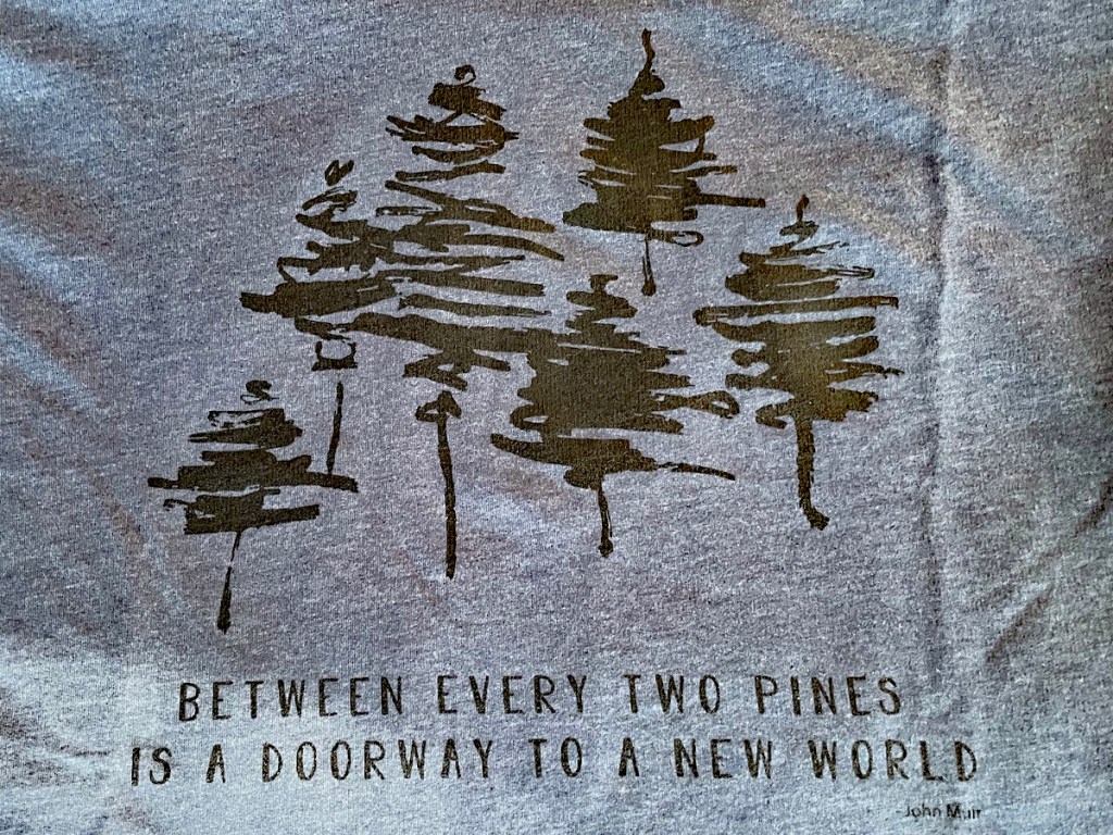 Between Every Two Pines | RegenAxe