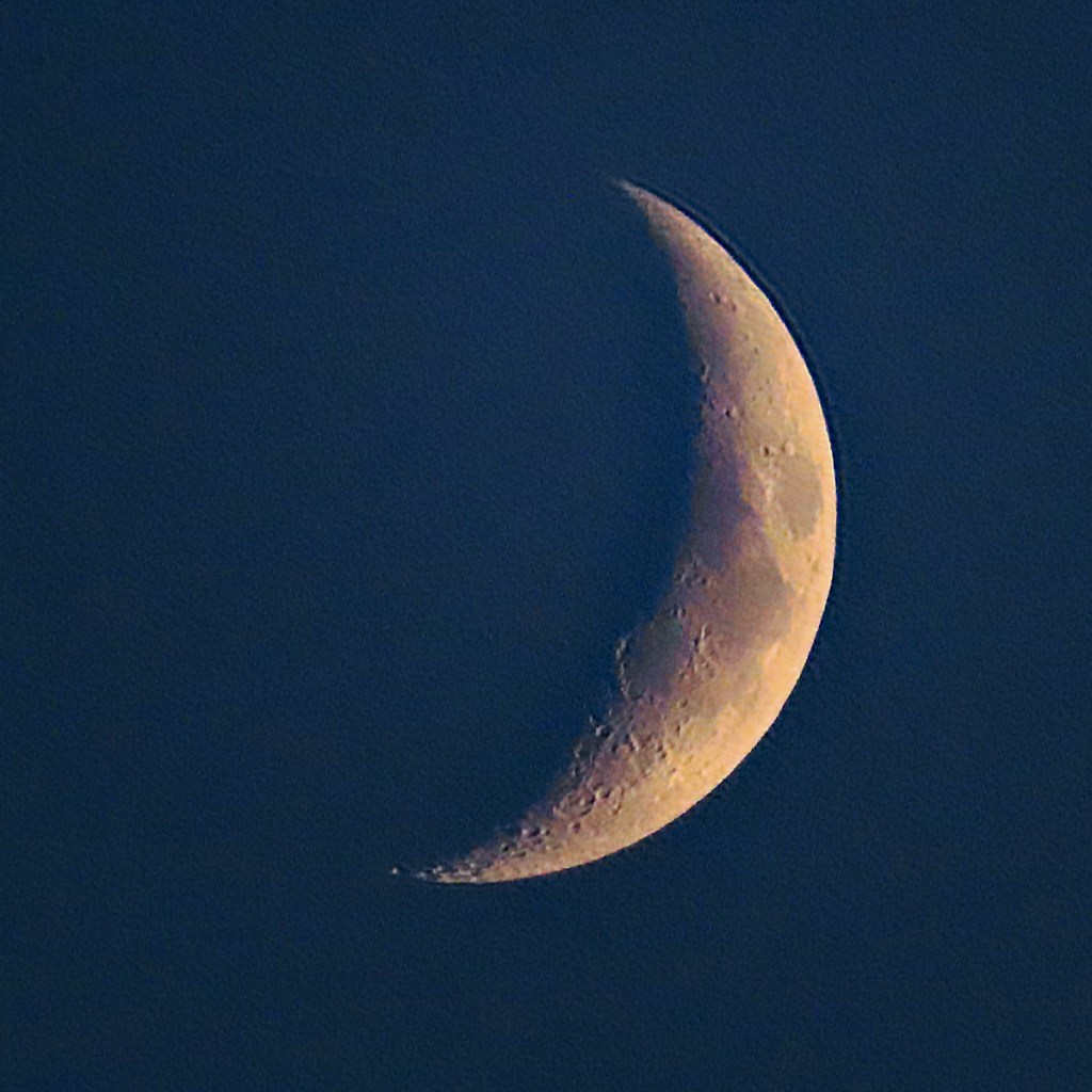 Cresent Moon | RegenAxe