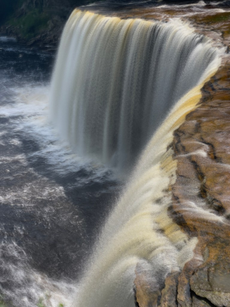 Long Exposure | RegenAxe