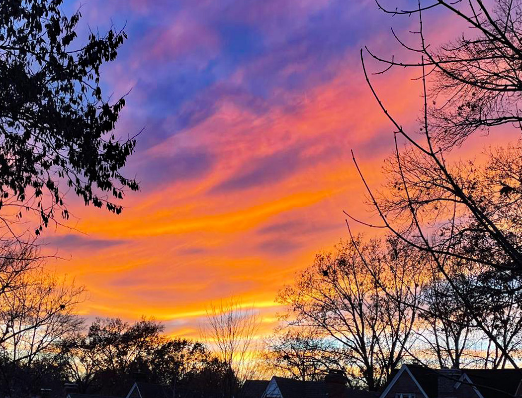 Anne’s Sunset Pic | RegenAxe