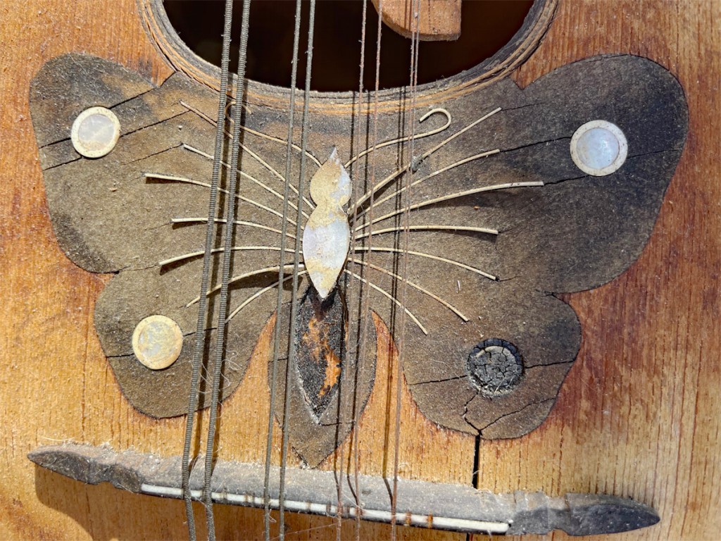 Butterfly Inlaid Mandolin | RegenAxe
