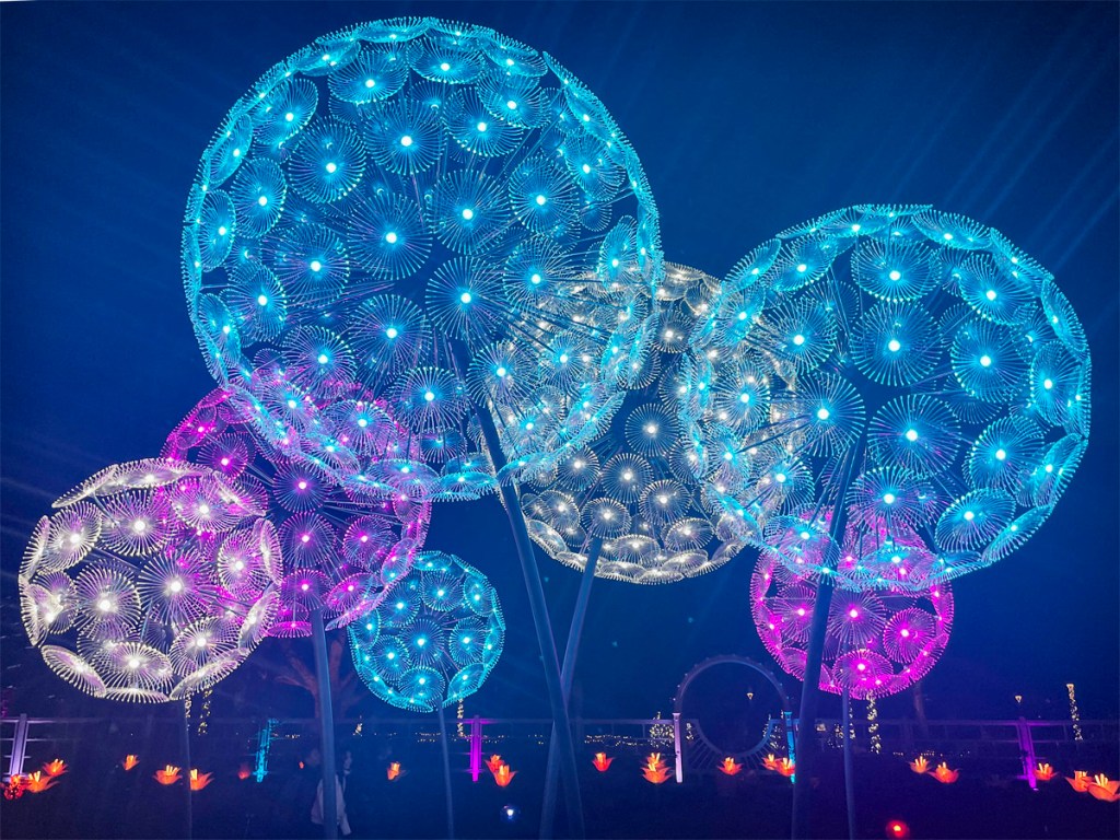 Dandelions | RegenAxe