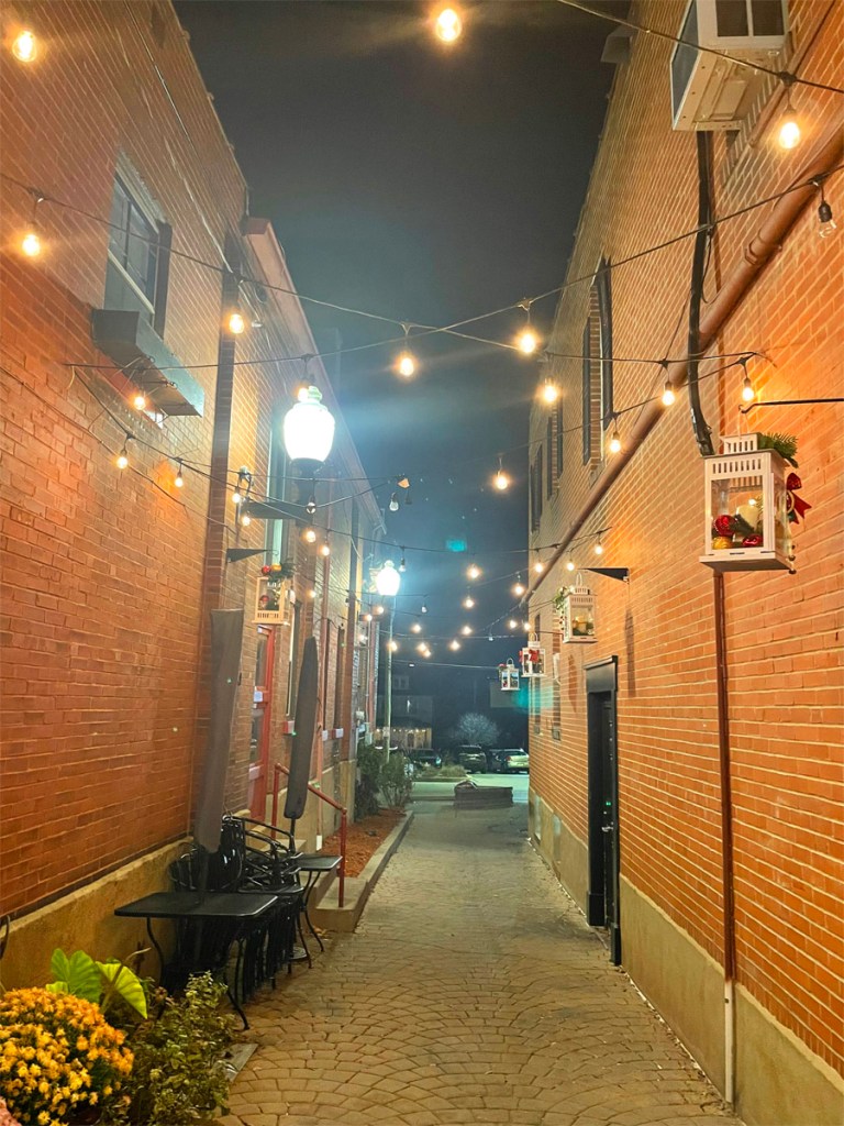 Maplewood Alley | RegenAxe