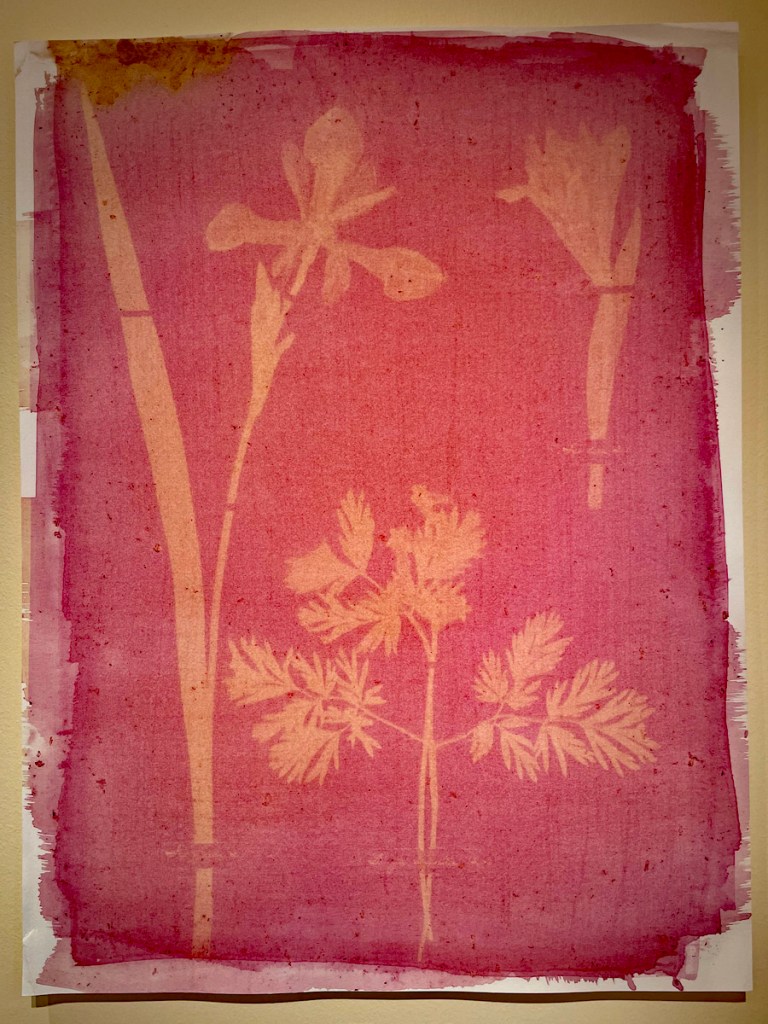 To Make a Prairie | RegenAxe