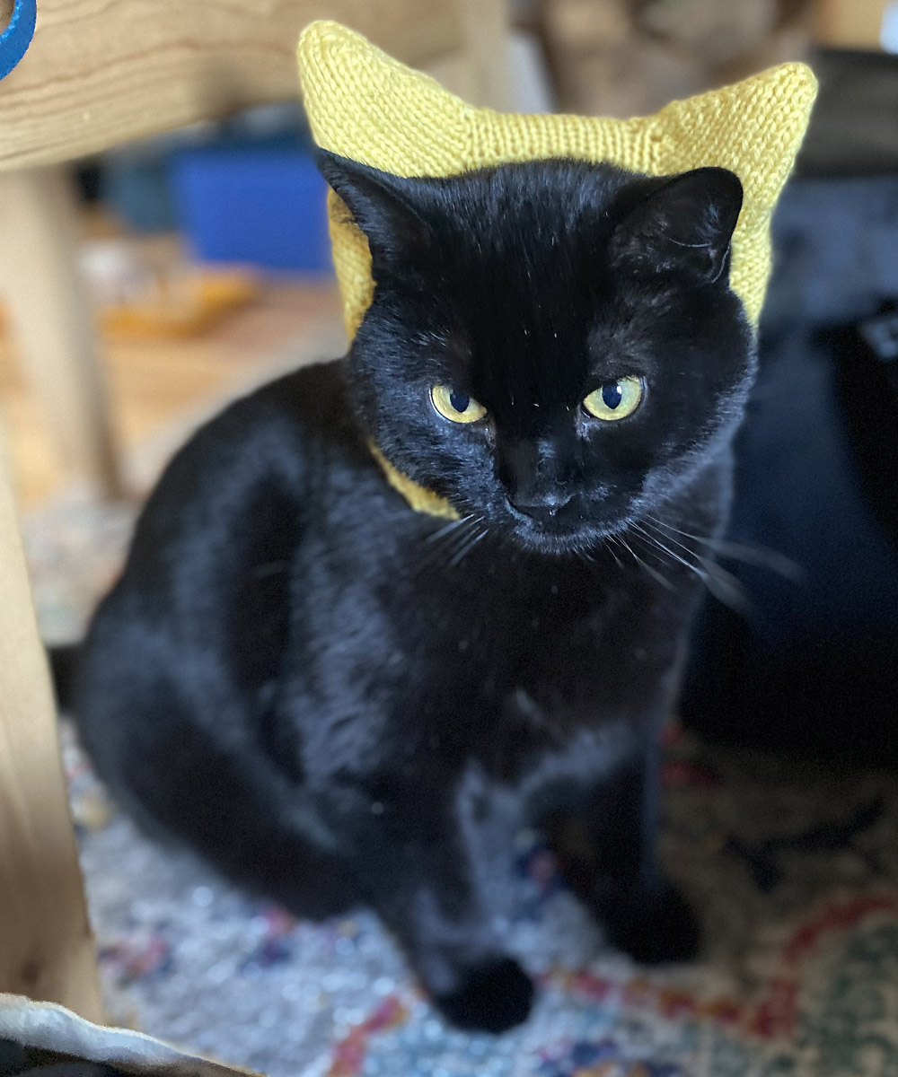 Inky Rocking the Queen Liz I Look | RegenAxe