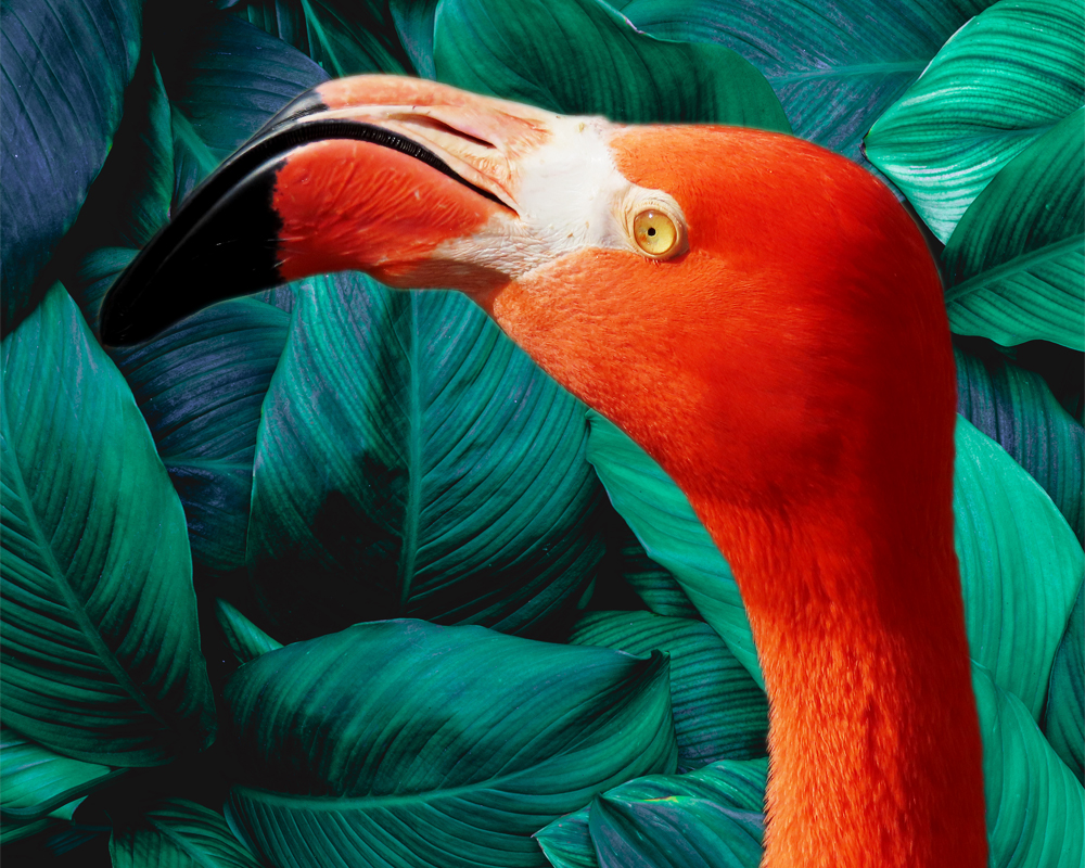 Photoshop Fun | RegenAxe