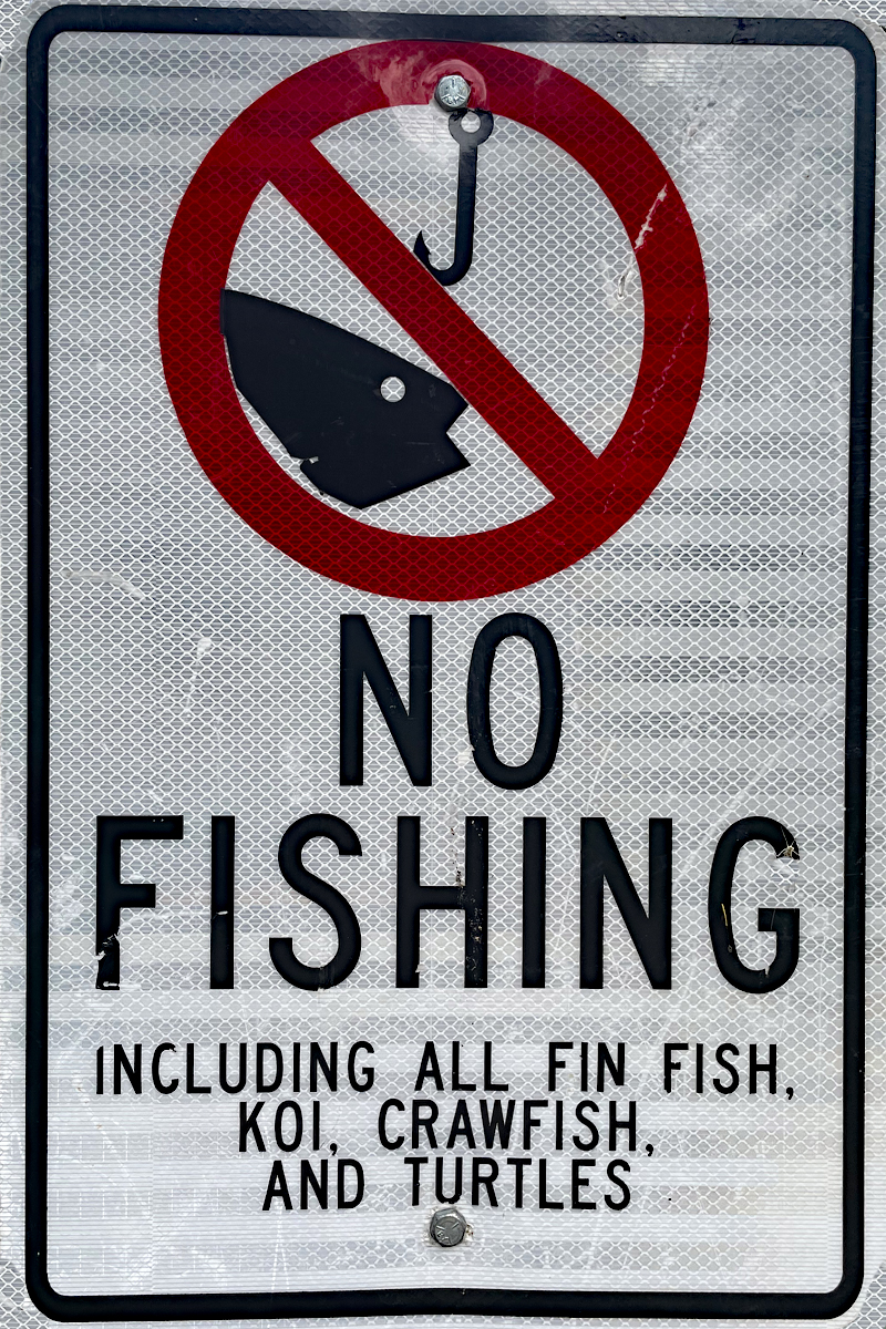No Fishing | RegenAxe