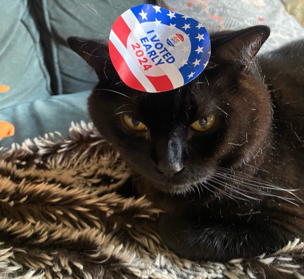 We Voted! | RegenAxe