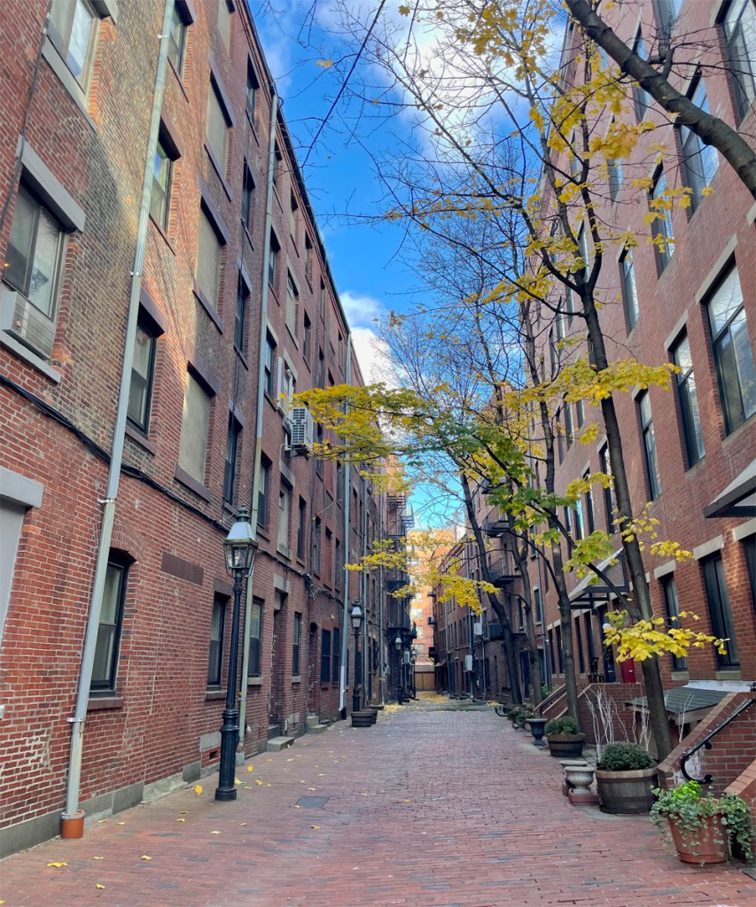 Boston Alley | RegenAxe