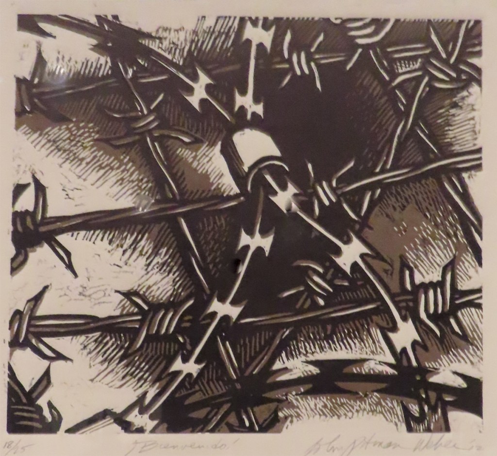 Bienvenido | RegenAxe