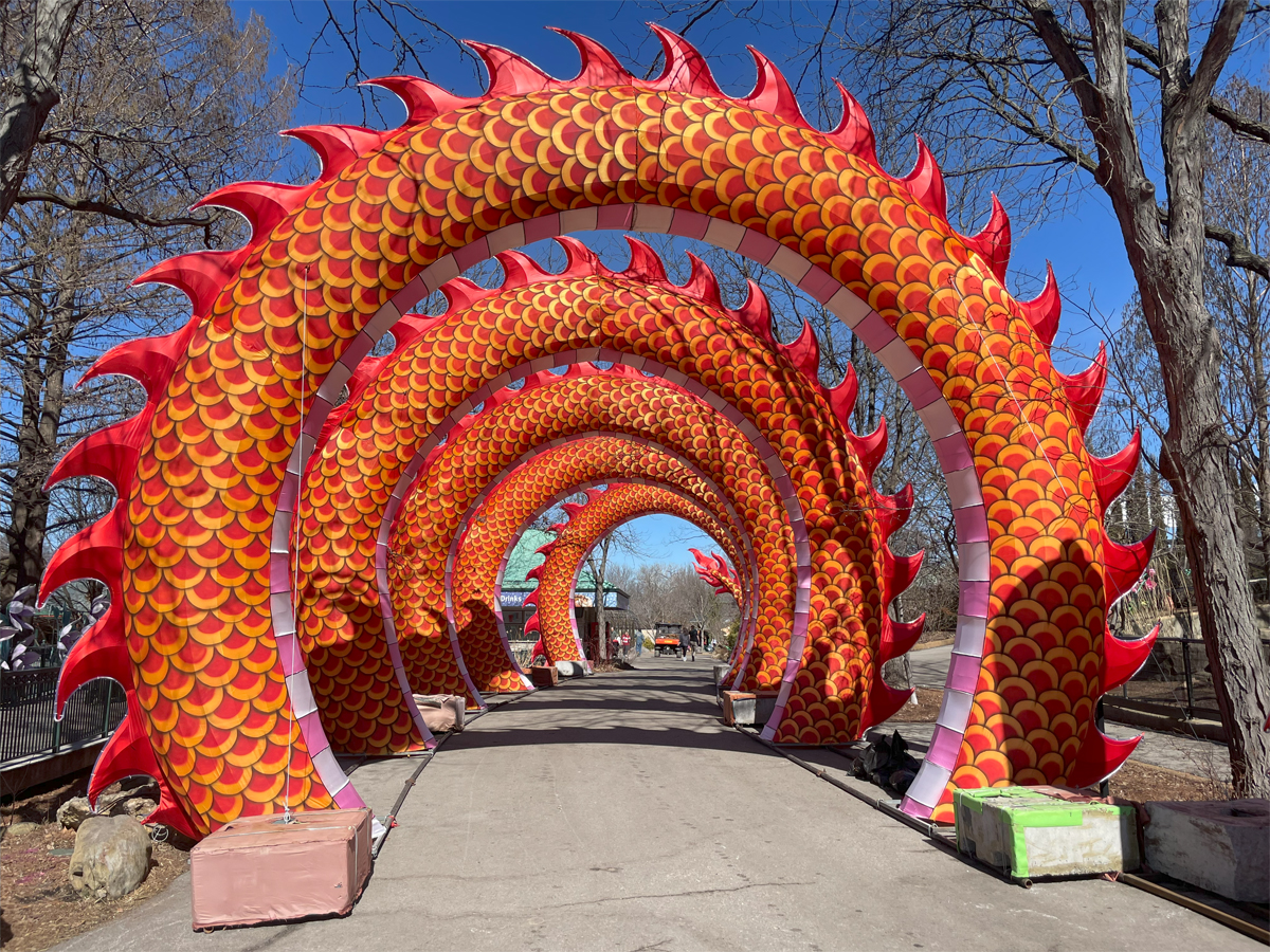 Animals Aglow Lantern Festival’s Dragon | RegenAxe