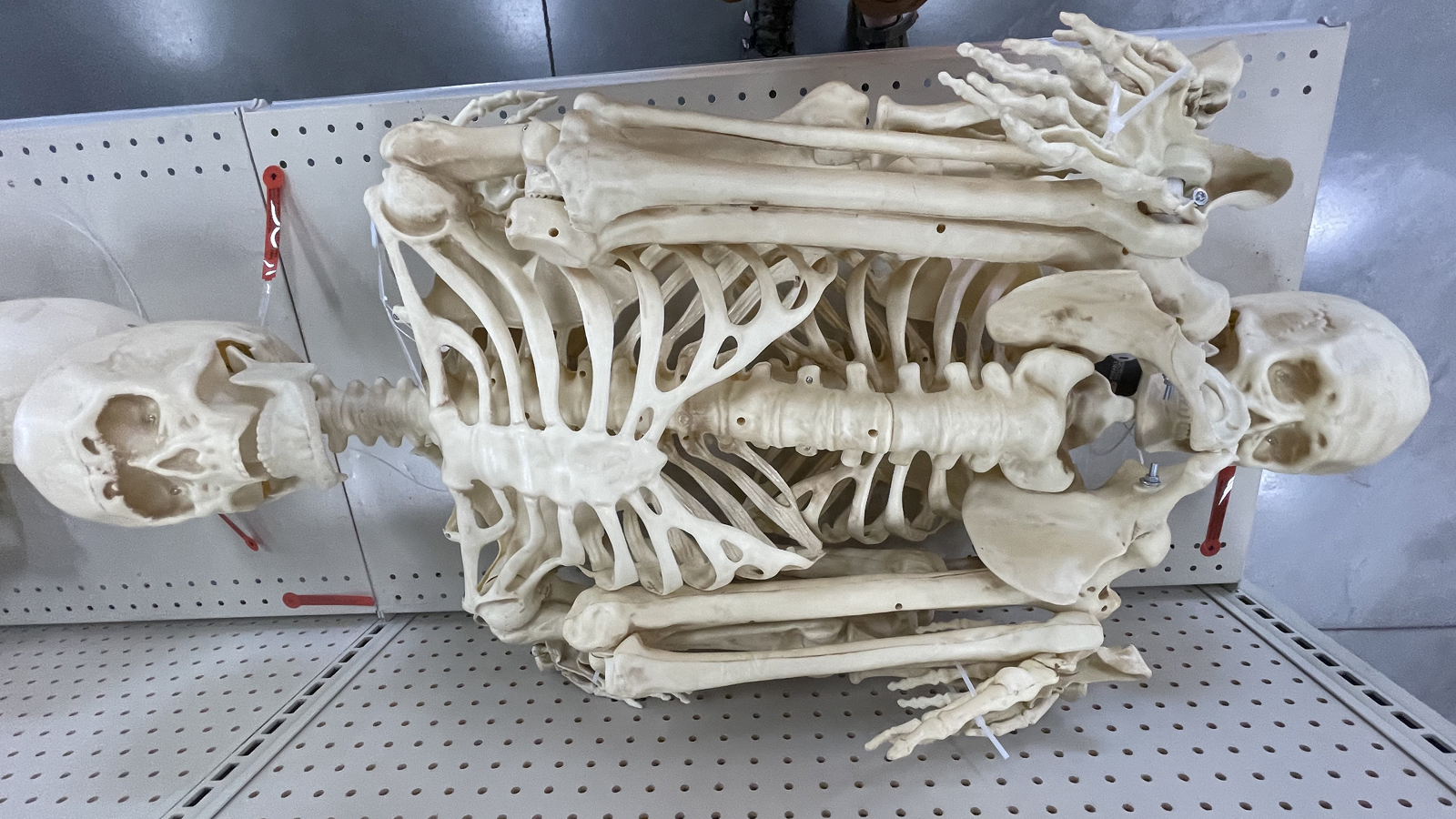 Rack’em and Stack’em | RegenAxe