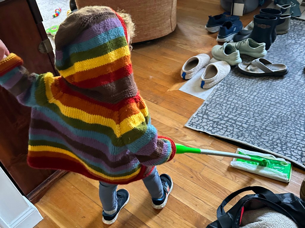 Swiffer Declan | RegenAxe