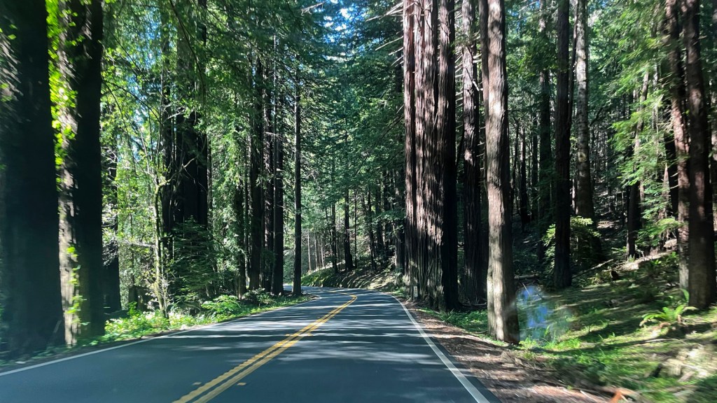 Big Naturals | RegenAxe